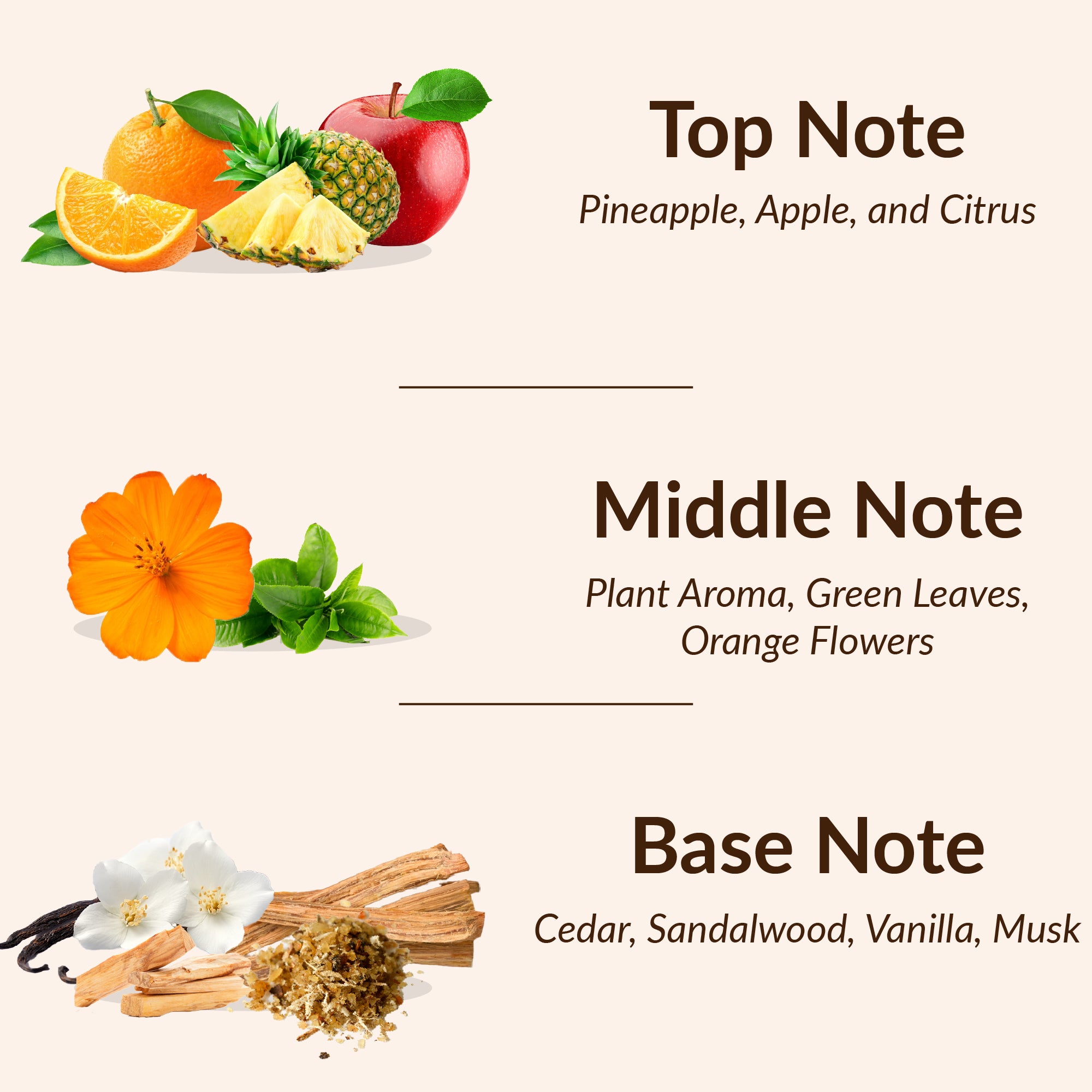 Sandalwood Oil Diffuser | Aromasphere.co